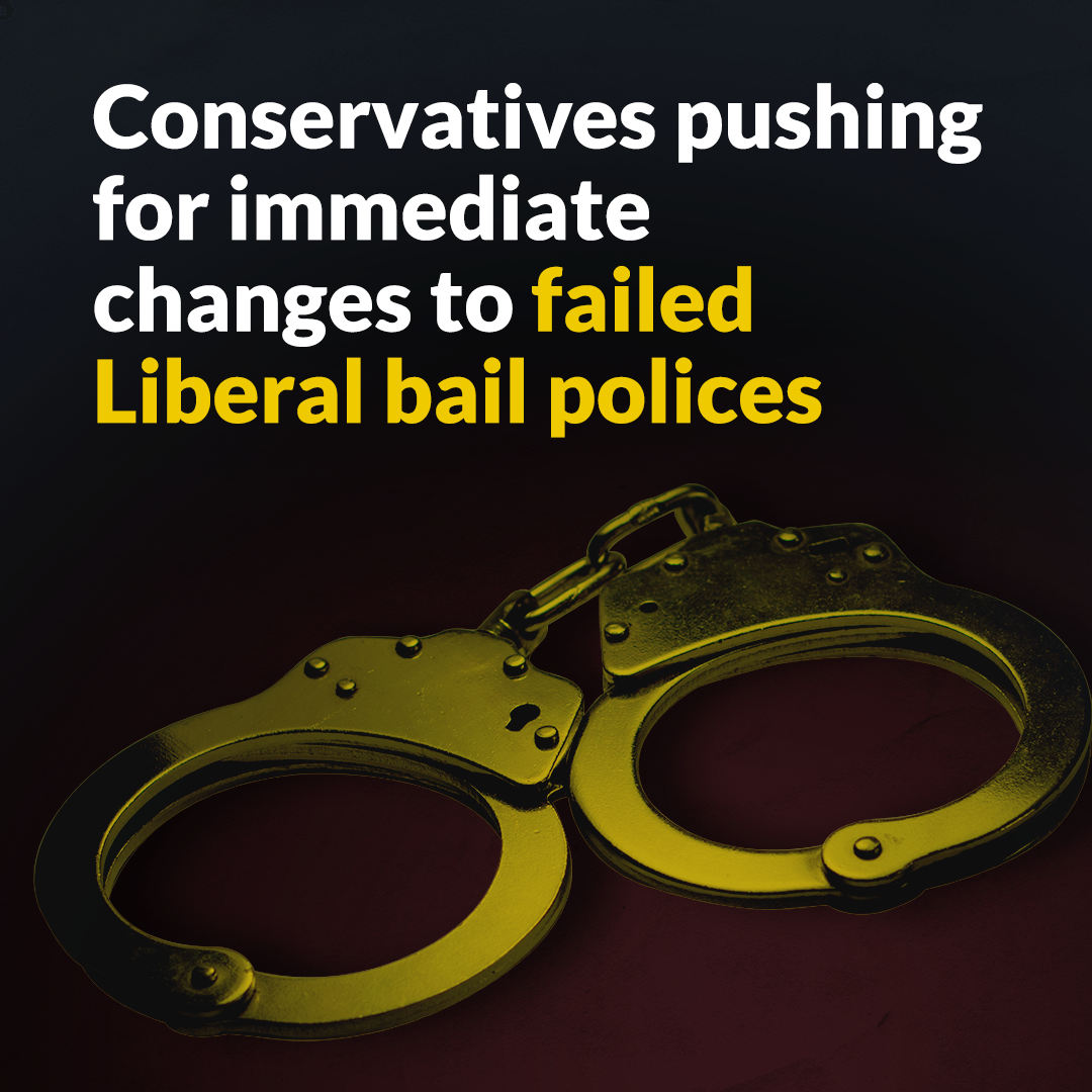 Conservatives pushing for immediate changes to failed Liberal bail ...