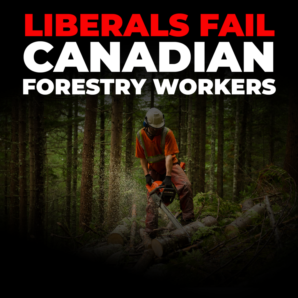 Liberals Fail Canadian Forestry Workers - Conservative Party of Canada
