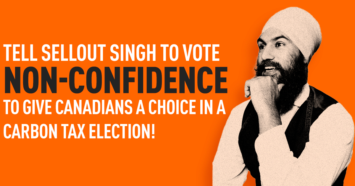 Official Non-Confidence Poll - Conservative Party of Canada