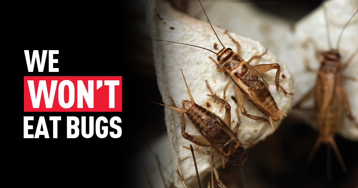 We WON’T Eat Bugs - Conservative Party of Canada