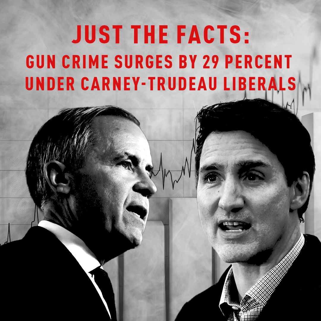 Just The Facts: Gun Crime Surges By 29 Percent Under Carney-Trudeau ...